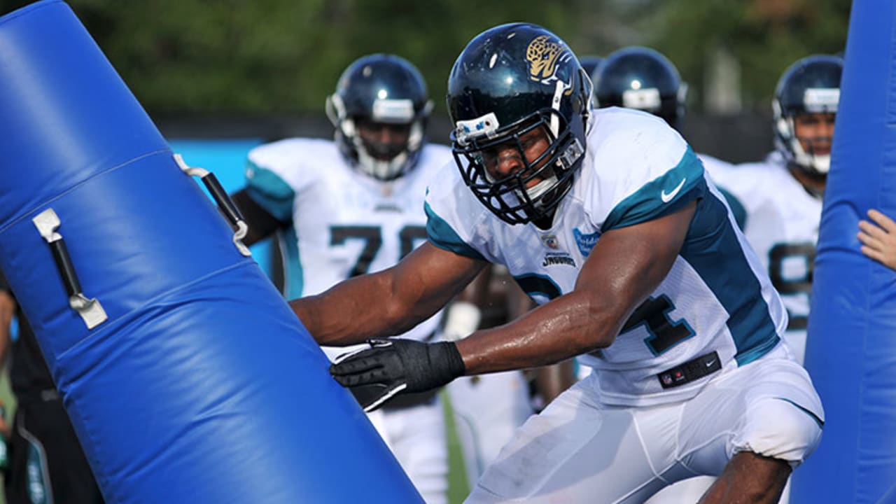 Jaguars defense full of unsung heroes