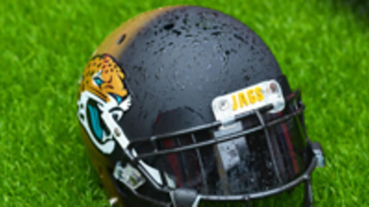 Wide receiver Jaydon Mickens promoted to active roster