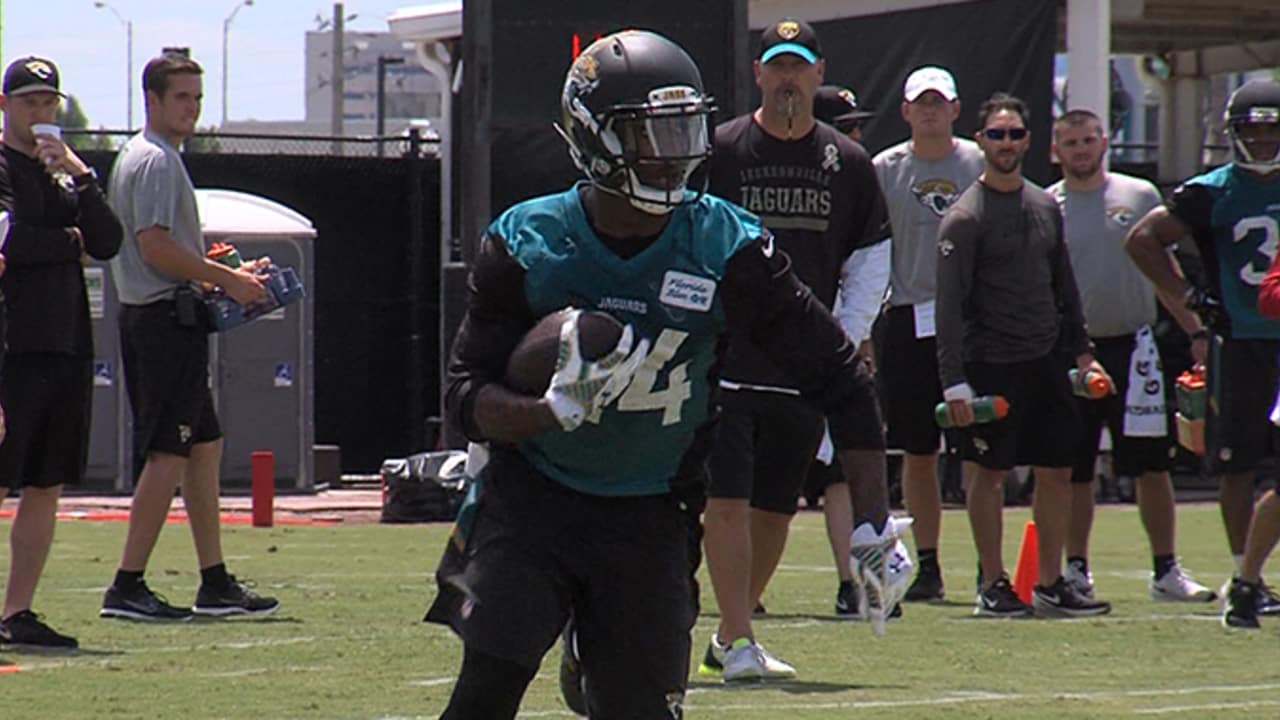 Rookie minicamp highlights