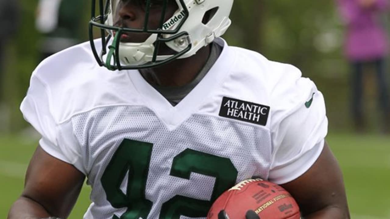 Rookie Spotlight: Terrance Ganaway