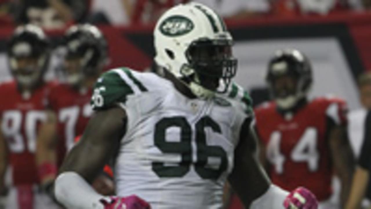 What You Need to Know About the Falcons