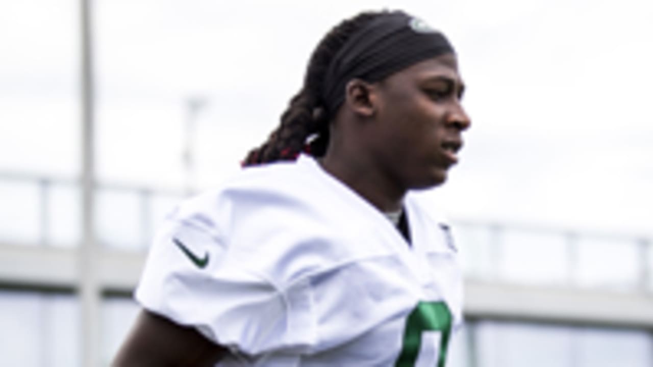 WR-KR Lucky Whitehead Added to Practice Squad