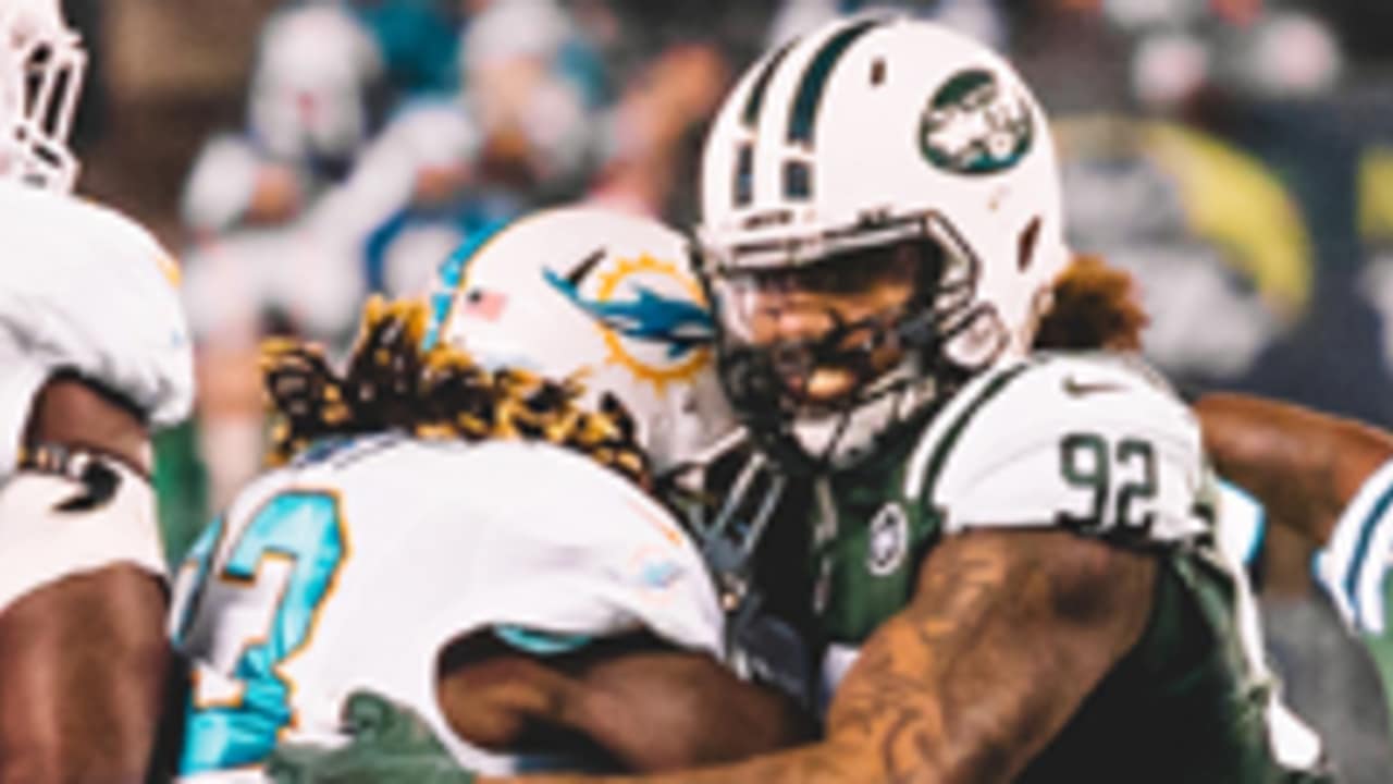 What You Need to Know About the Dolphins