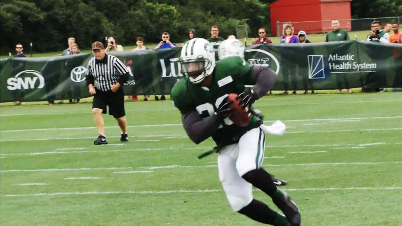 Dawan Landry Interception