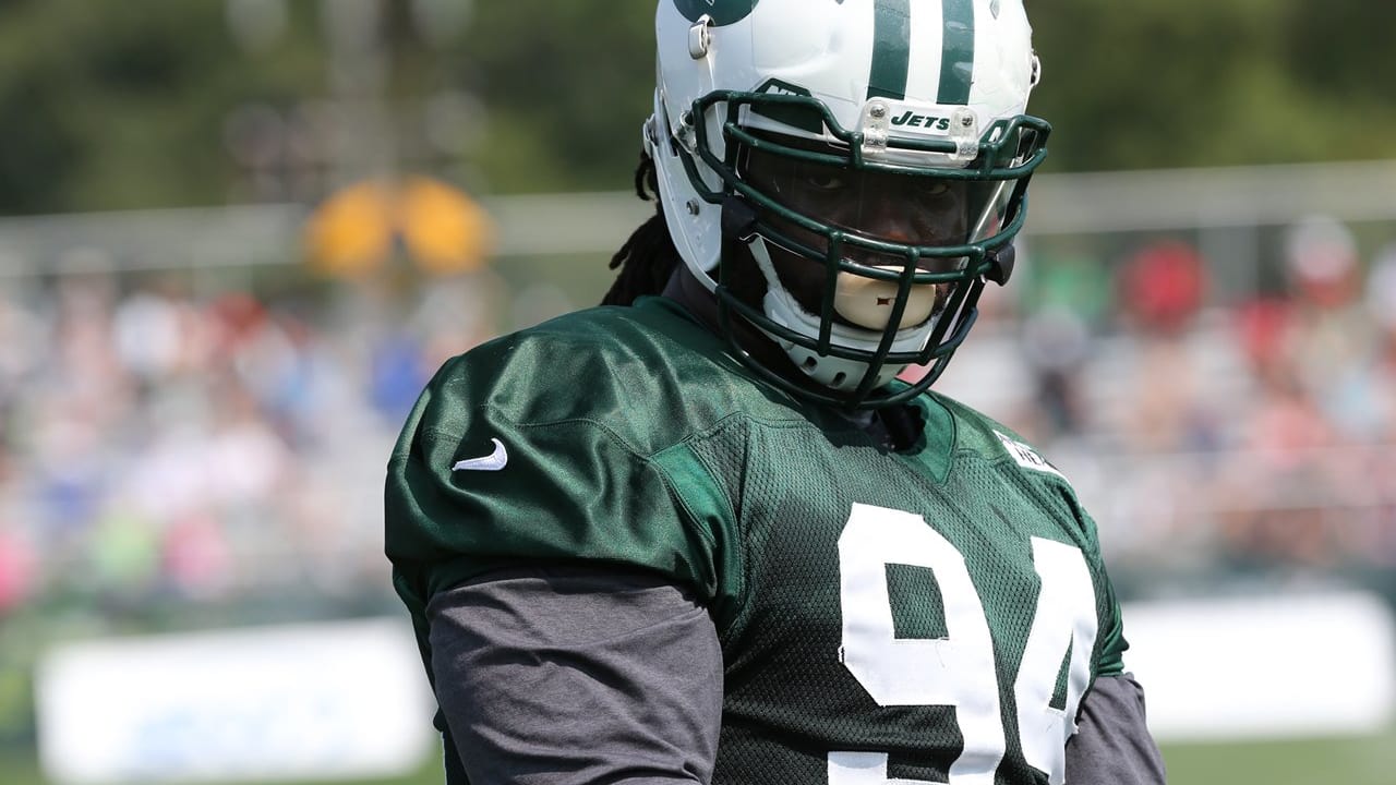 Damon Harrison Took a Long Road to the NFL