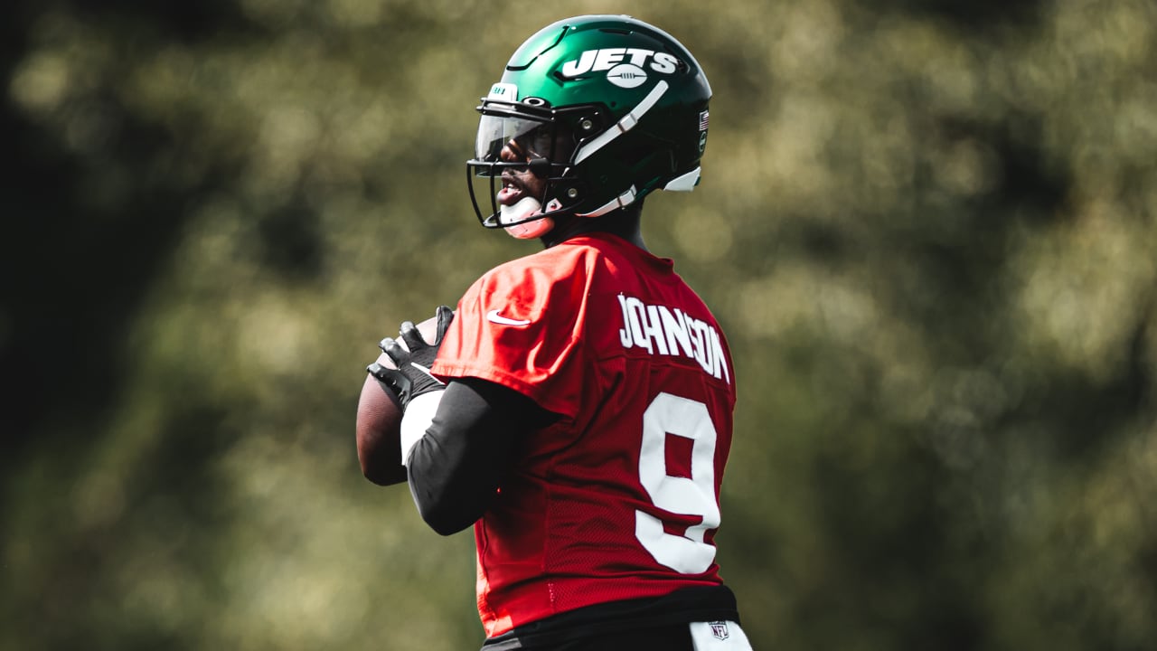 Josh Johnson Has Been Around the Block and Around the NFL