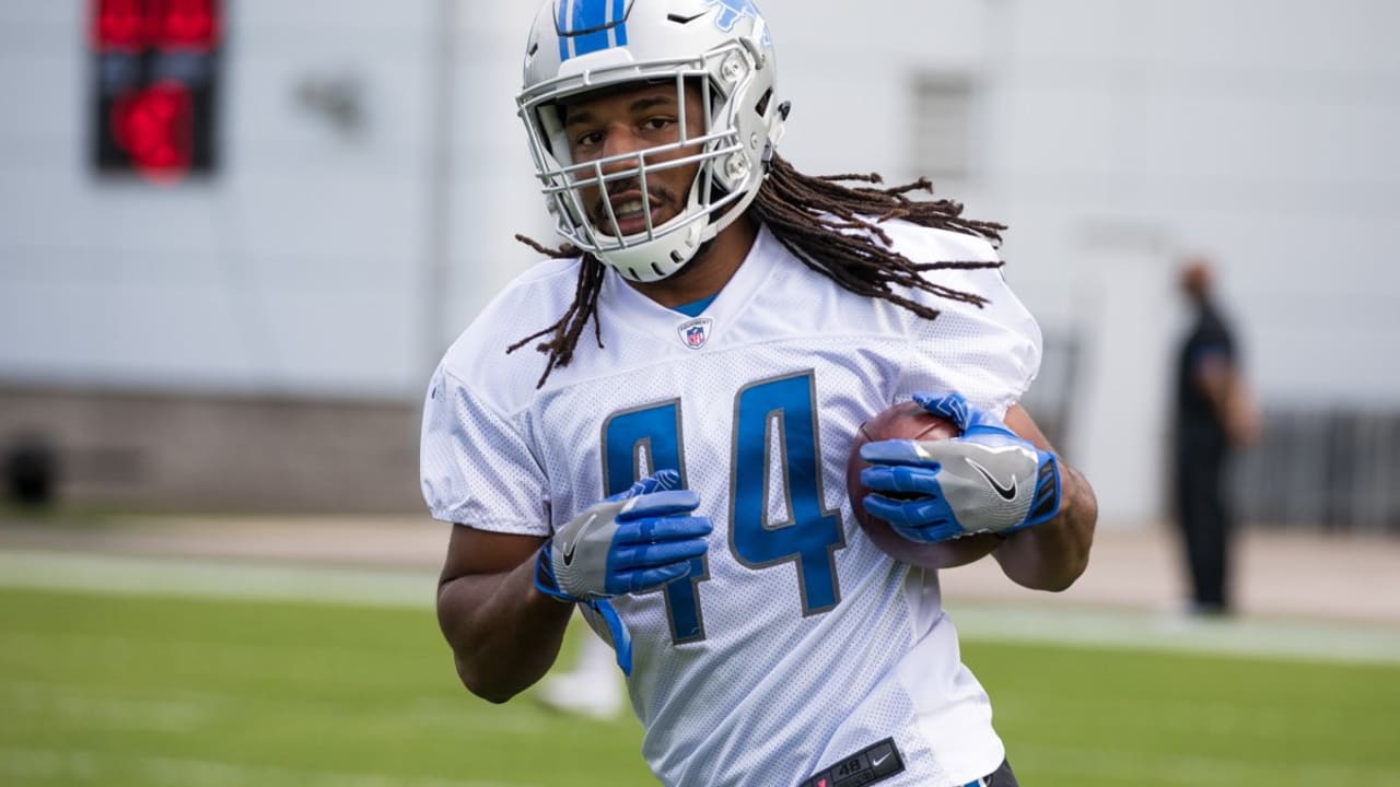 Jalen Reeves-Maybin photos