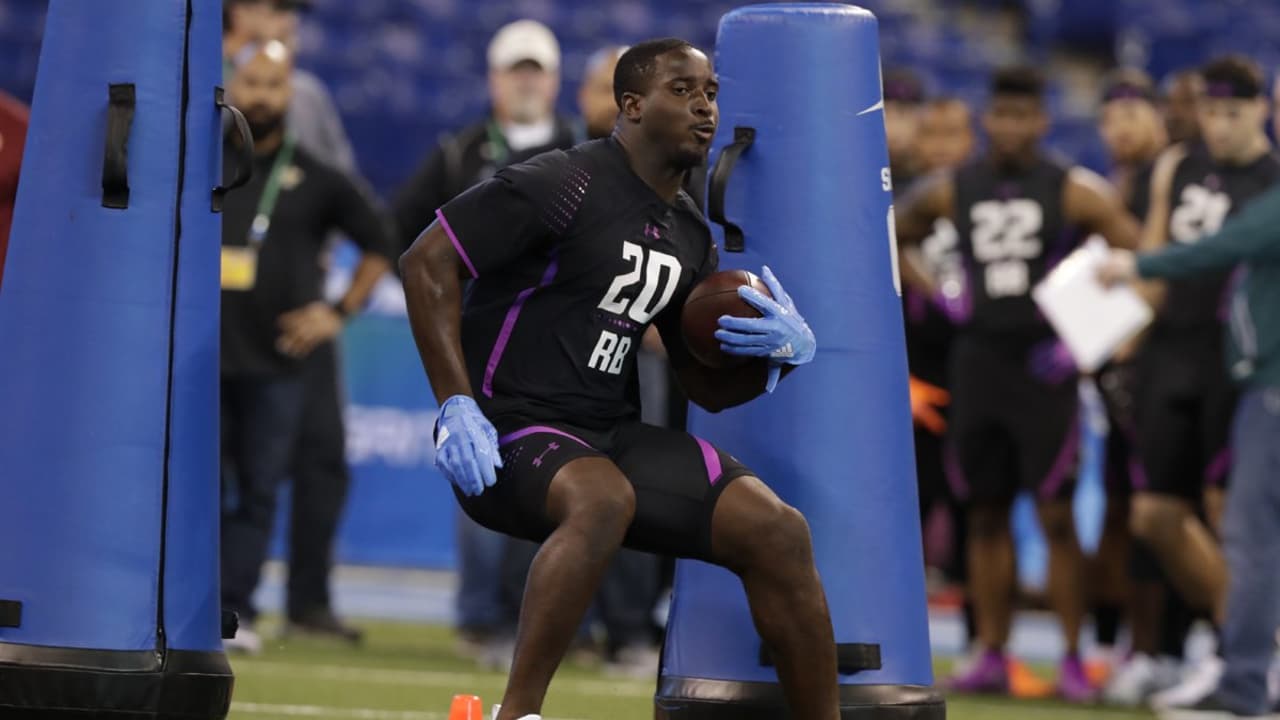 Meet the Prospect: Sony Michel