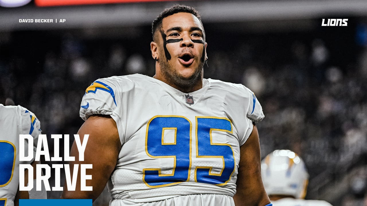 Detroit Lions sign veteran defensive lineman Detroit Lions sign veteran defensive lineman
