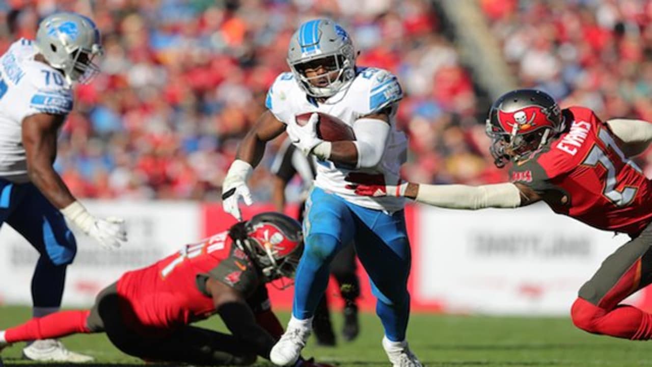 2017 highlights: Theo Riddick