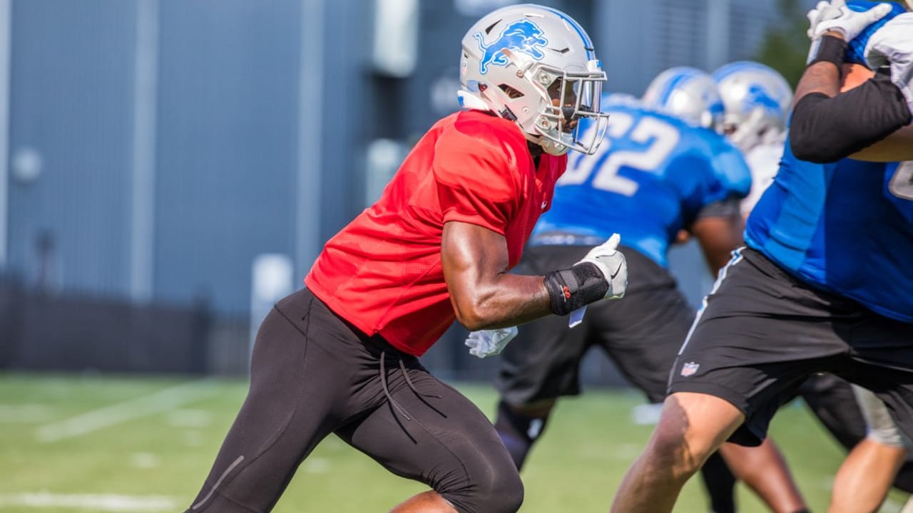 2017 Camp Spotlight: Theo Riddick