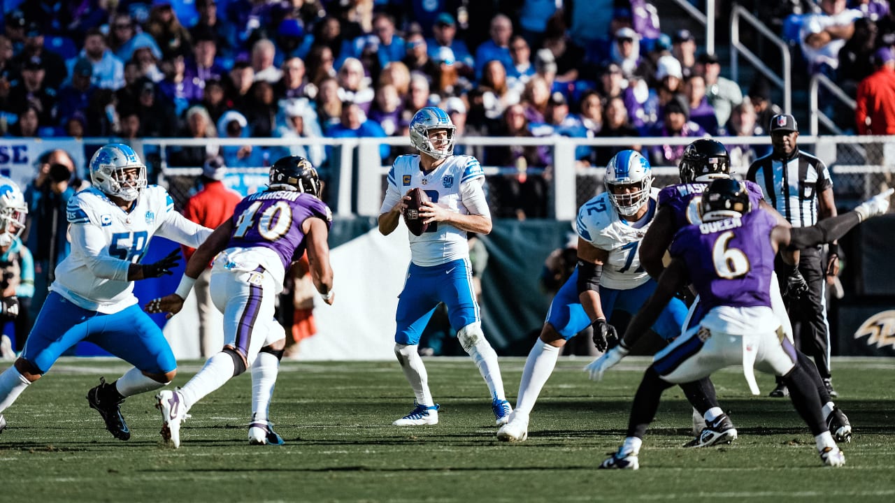 Resilient Detroit Lions: Bouncing Back After Loss and Embracing the ...