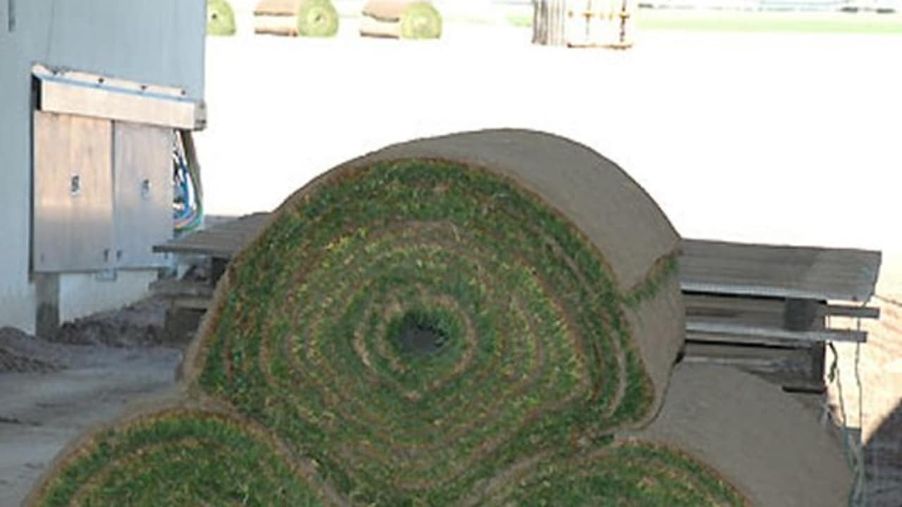 Sod Laid On Lambeau