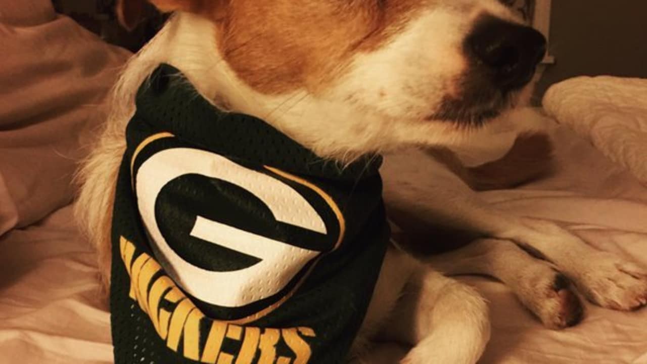 #PackersPets celebrate #NationalPetDay