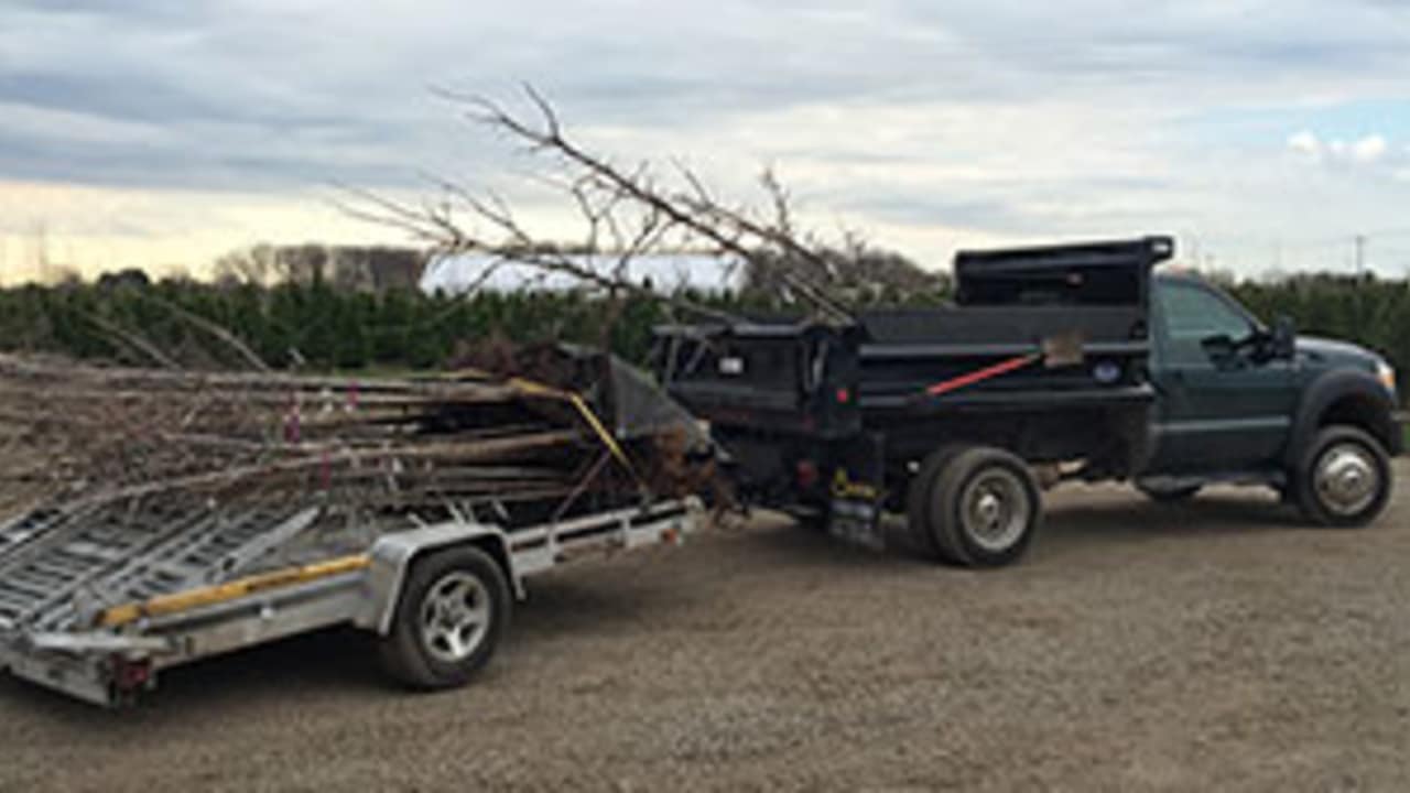 Local Communities pick up trees from Packers' First Downs for Trees program