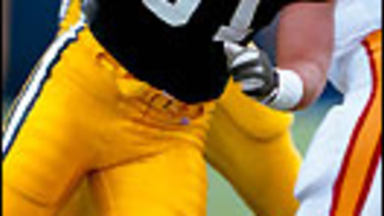 Letters To Lee Remmel