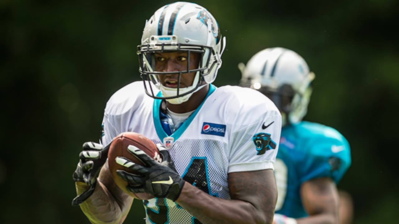 Ed Dickson training camp Q&A