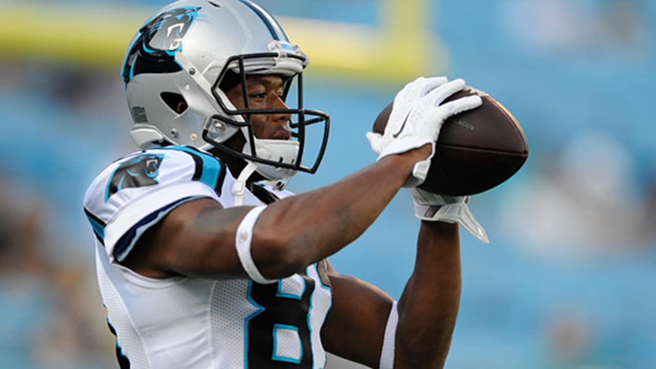 Panthers sign WR Capers