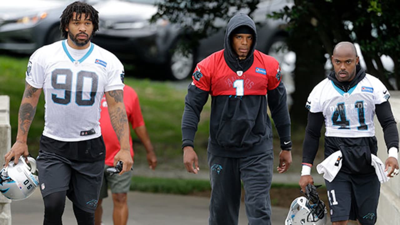 Panthers vow to bounce back - again