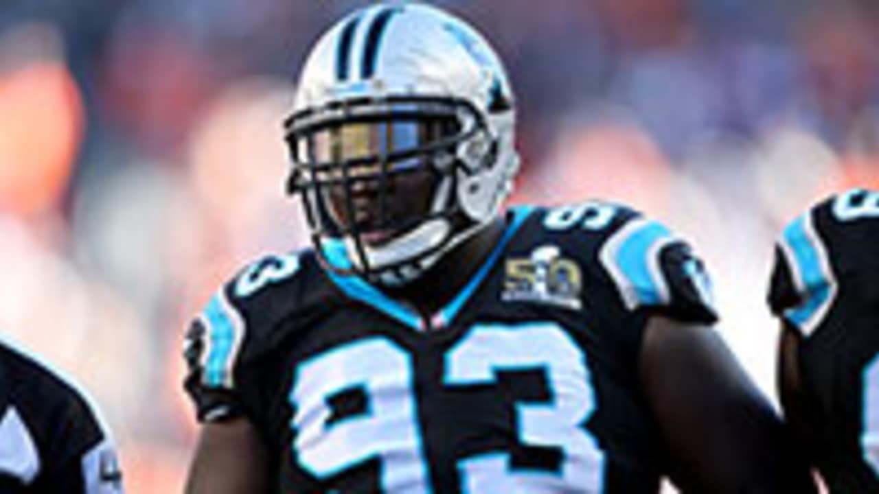 Panthers re-sign DT Kyle Love; sign P Michael Palardy