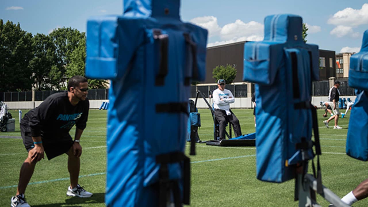 Panthers OTA Schedule