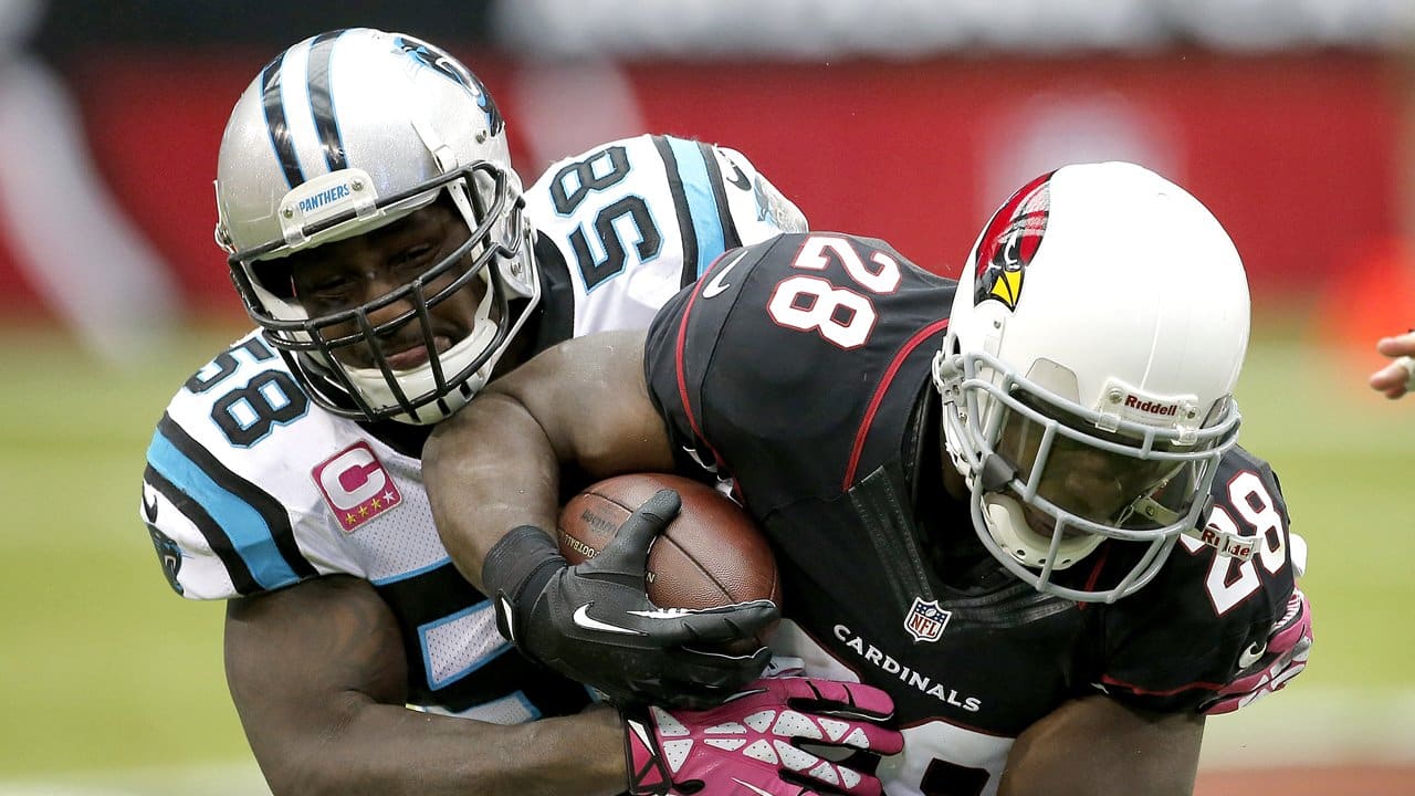 Cardinals 22, Panthers 6