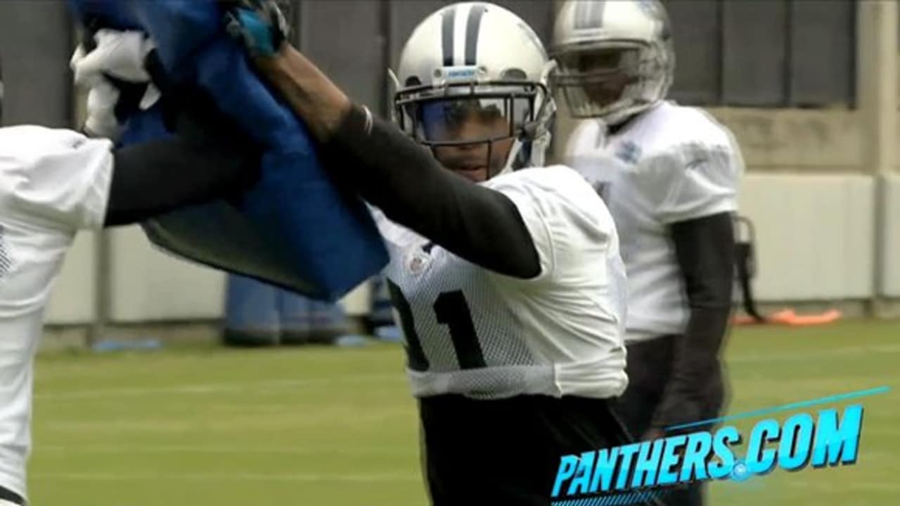 Panthers Weekly: Must win game