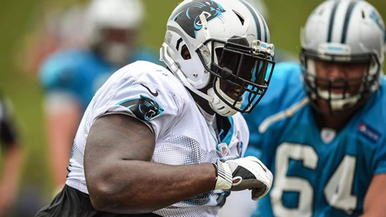 Rookie Report: Vernon Butler
