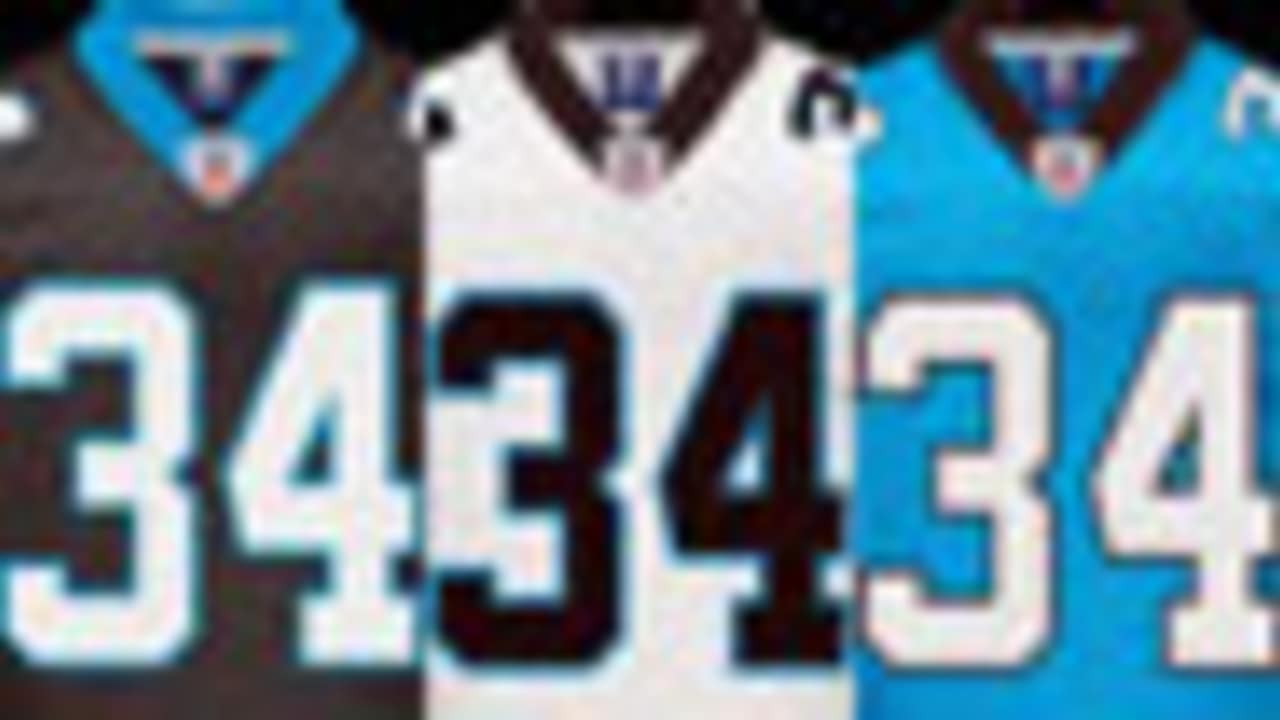 Colors of the Panthers rainbow