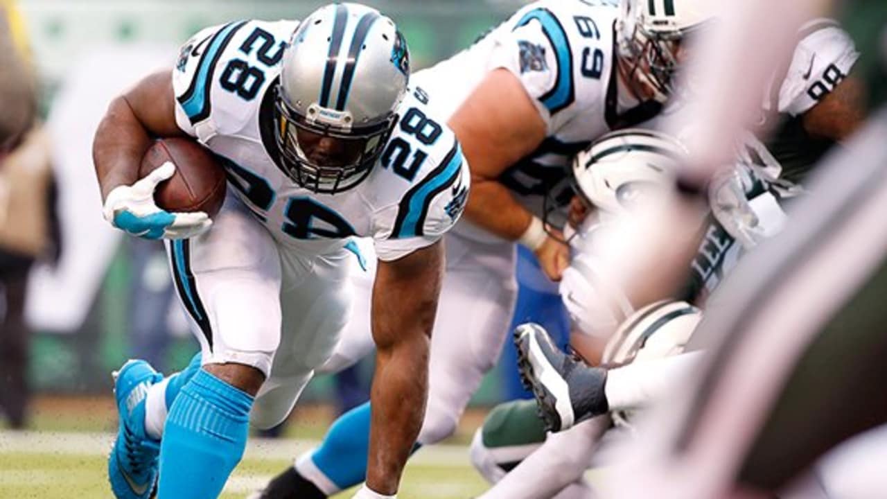 Jonathan Stewart 2-yard TD