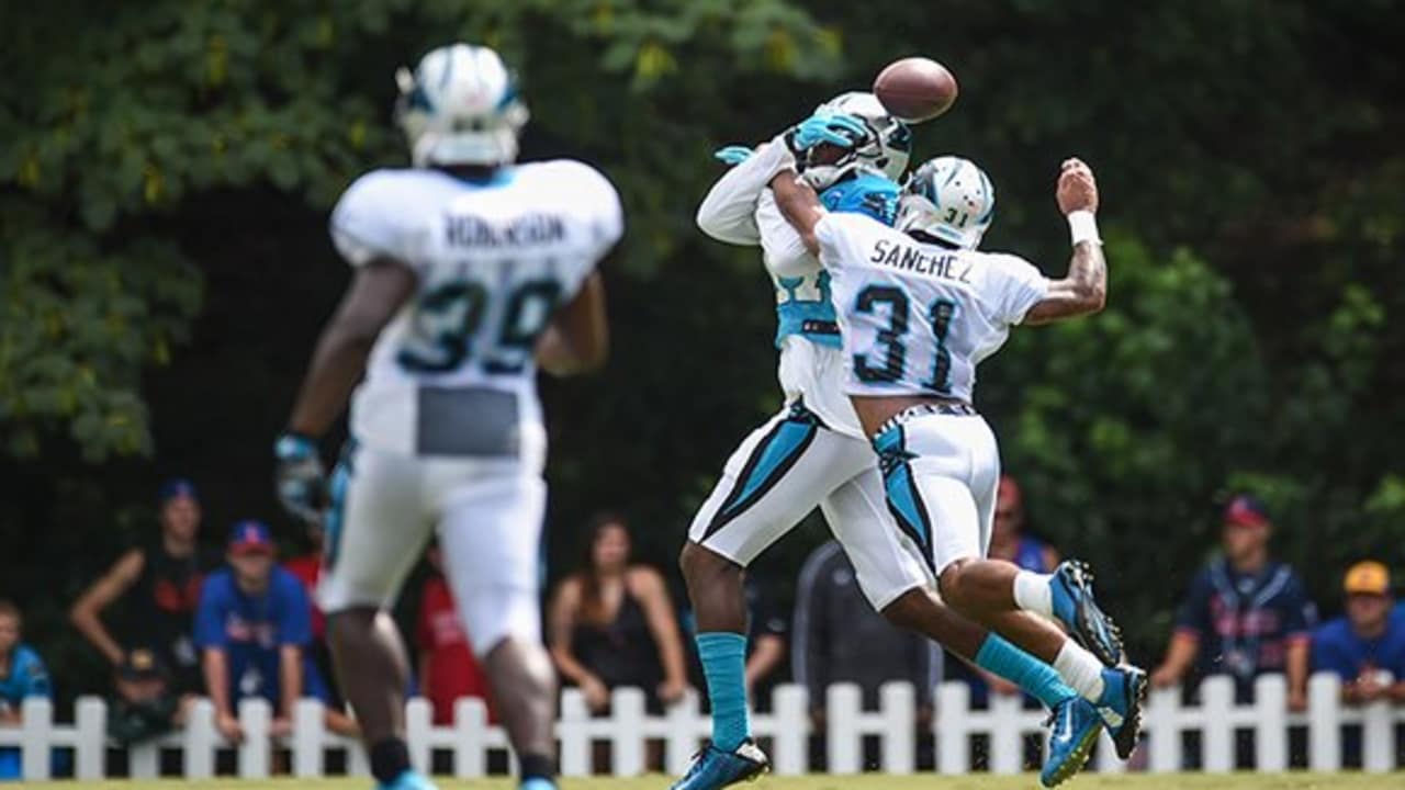 Panthers secondary has young legs