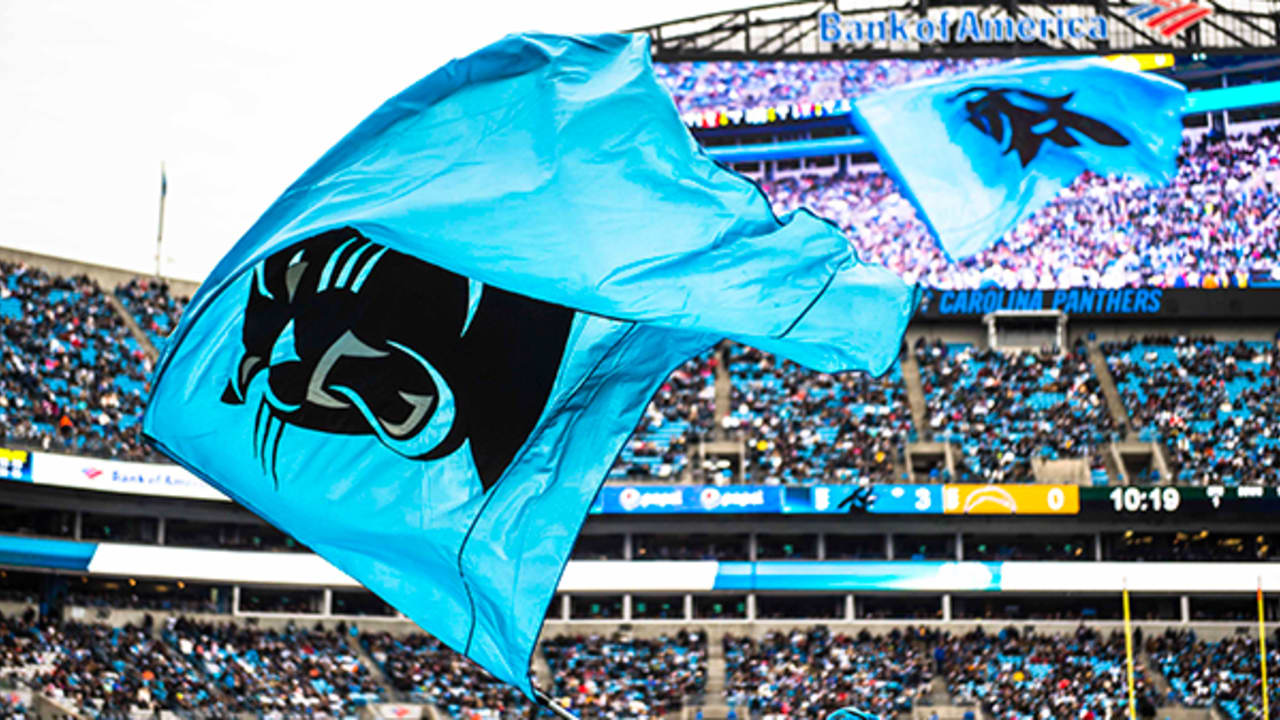 Panthers were most searched NFL team in 2016
