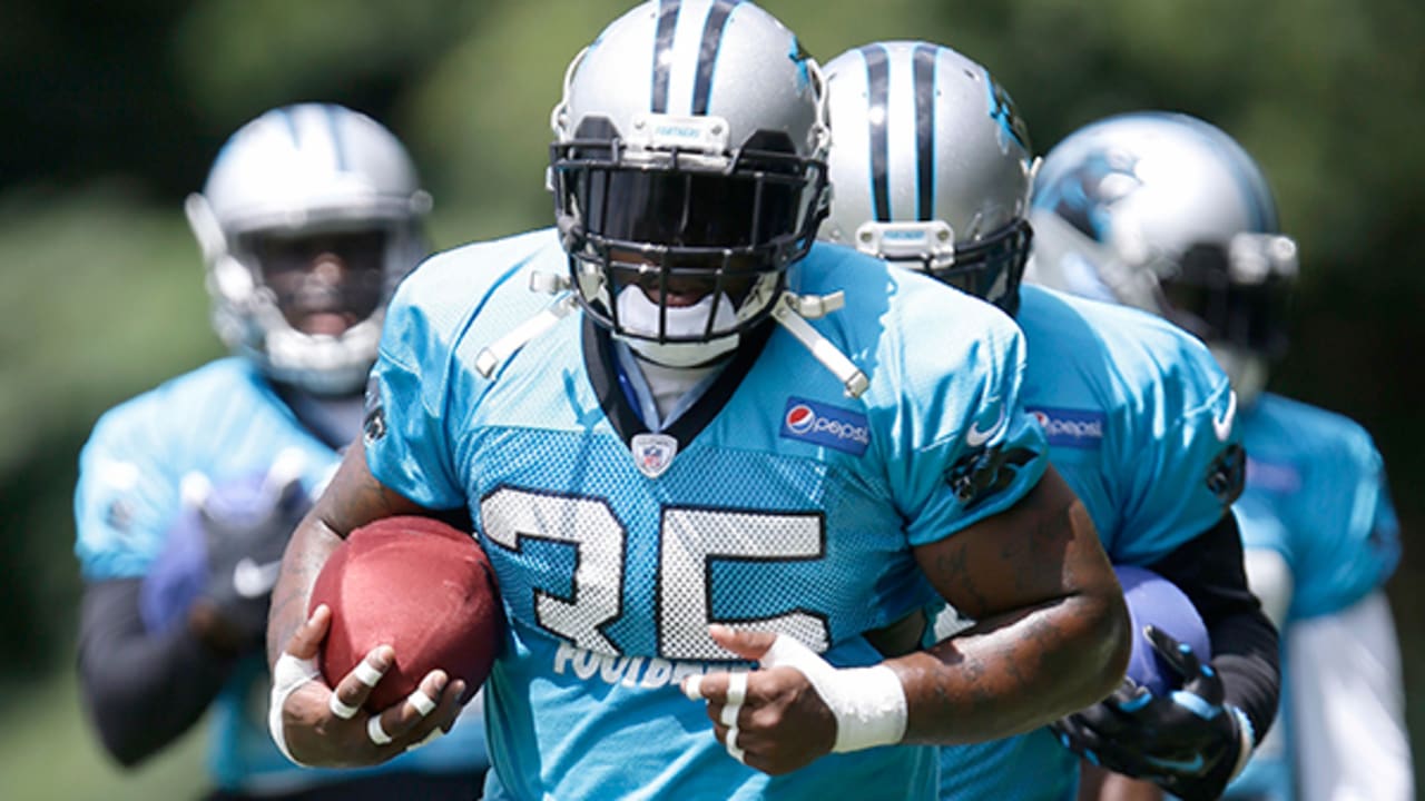 Mike Tolbert Q&A