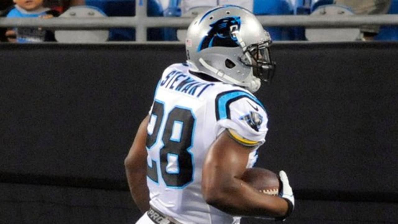 Jonathan Stewart 2-yard TD run