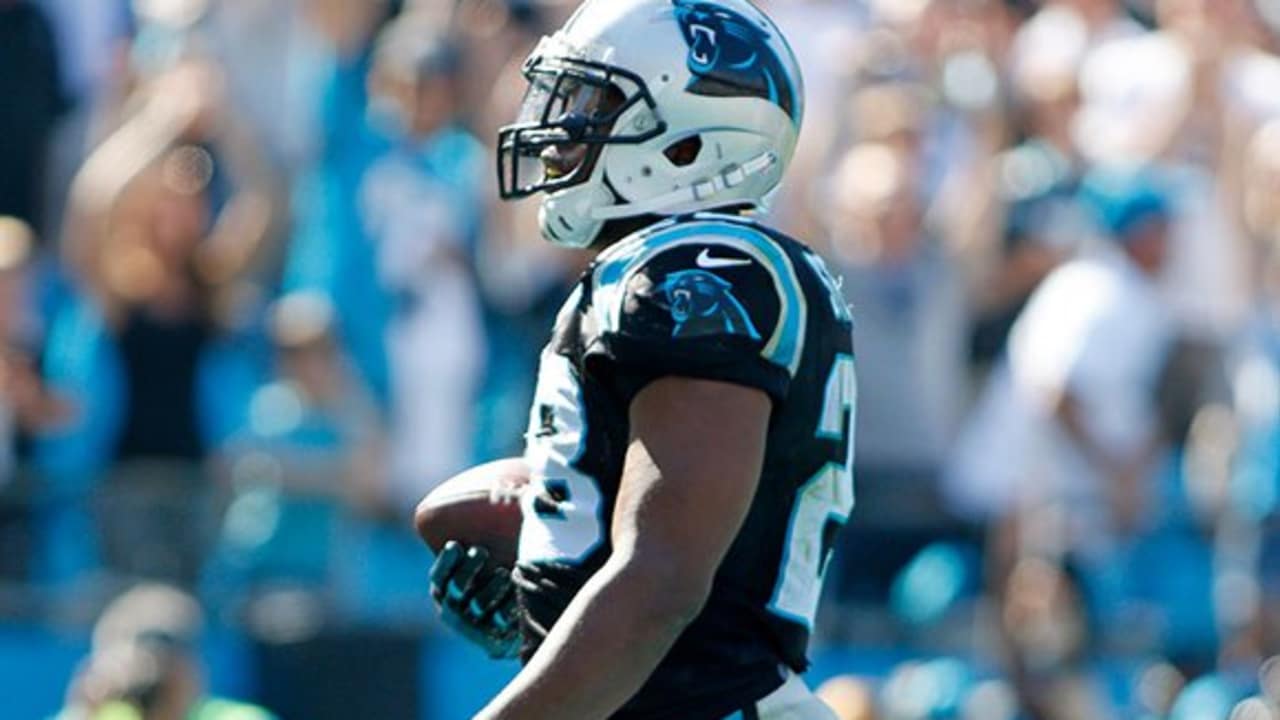 Jonathan Stewart 1-yard TD run