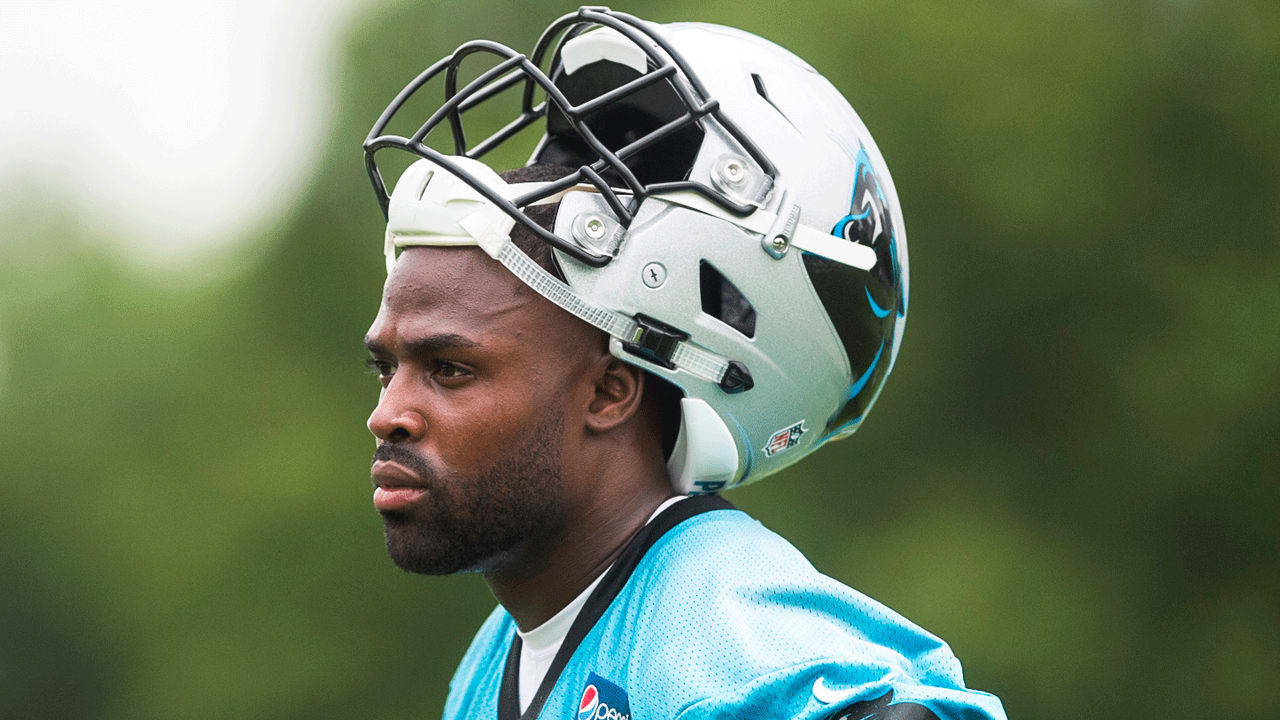 Tuesdays with Torrey