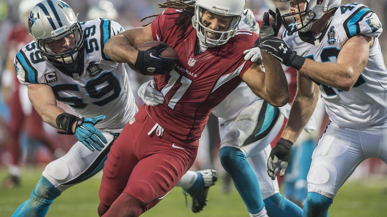 Best of Panthers vs. Cardinals