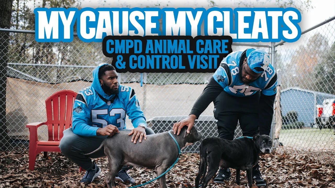 Brian Burns, Marquan McCall promote dog adoption at CMPD Animal Care ...