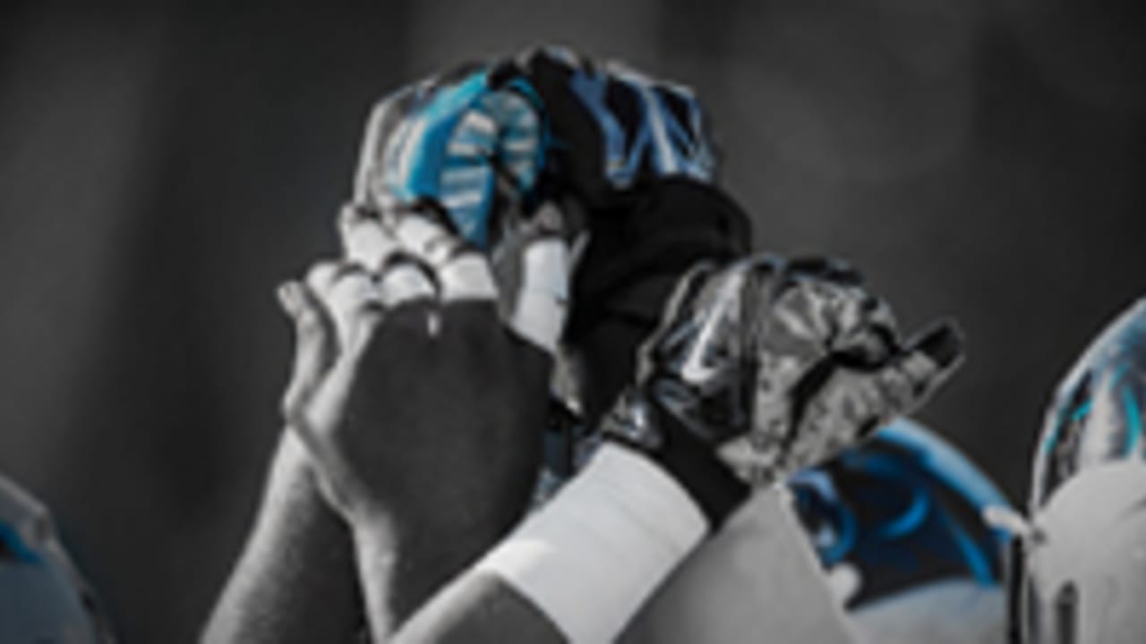 Pro Teams, Schools Show Support For Panthers