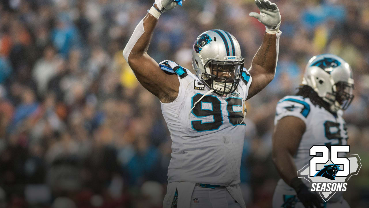 Best of the Panthers in 2014