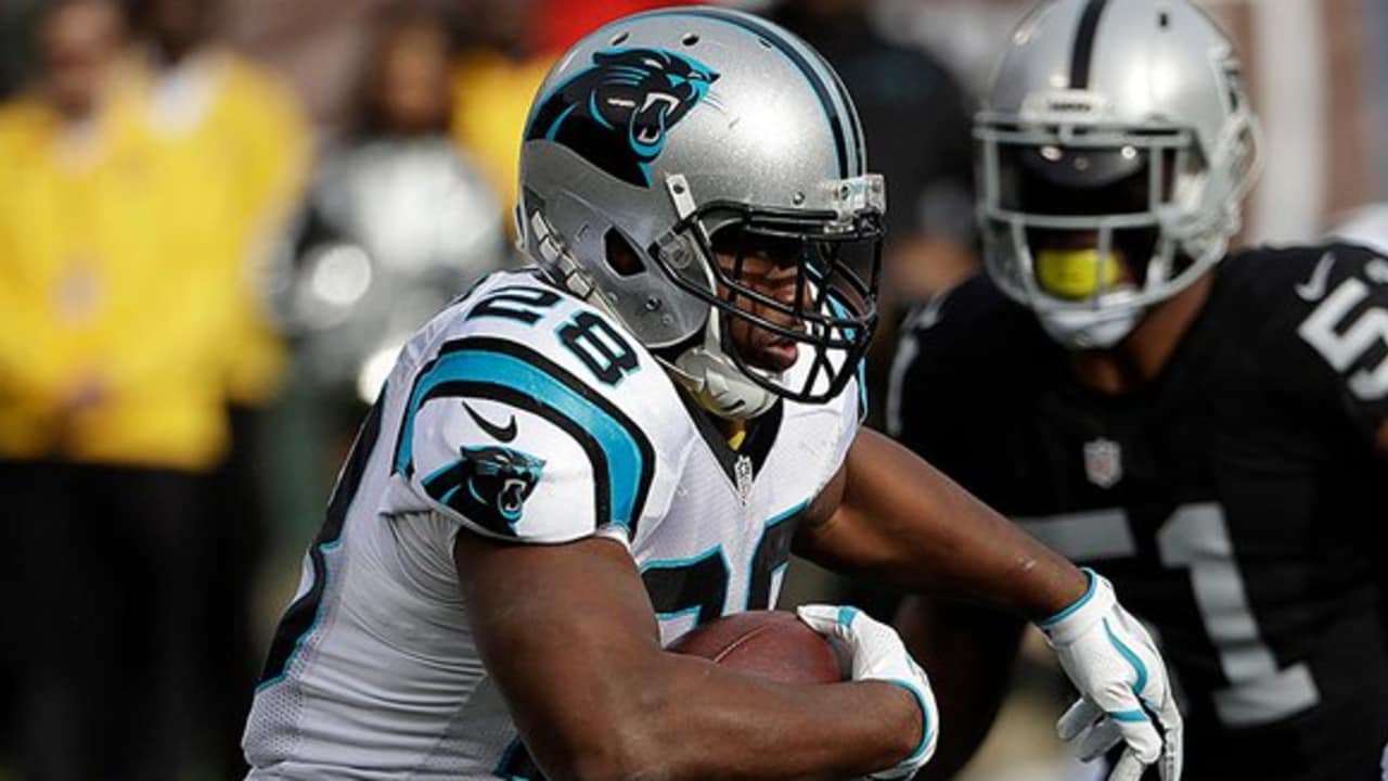 Jonathan Stewart 47-yard run
