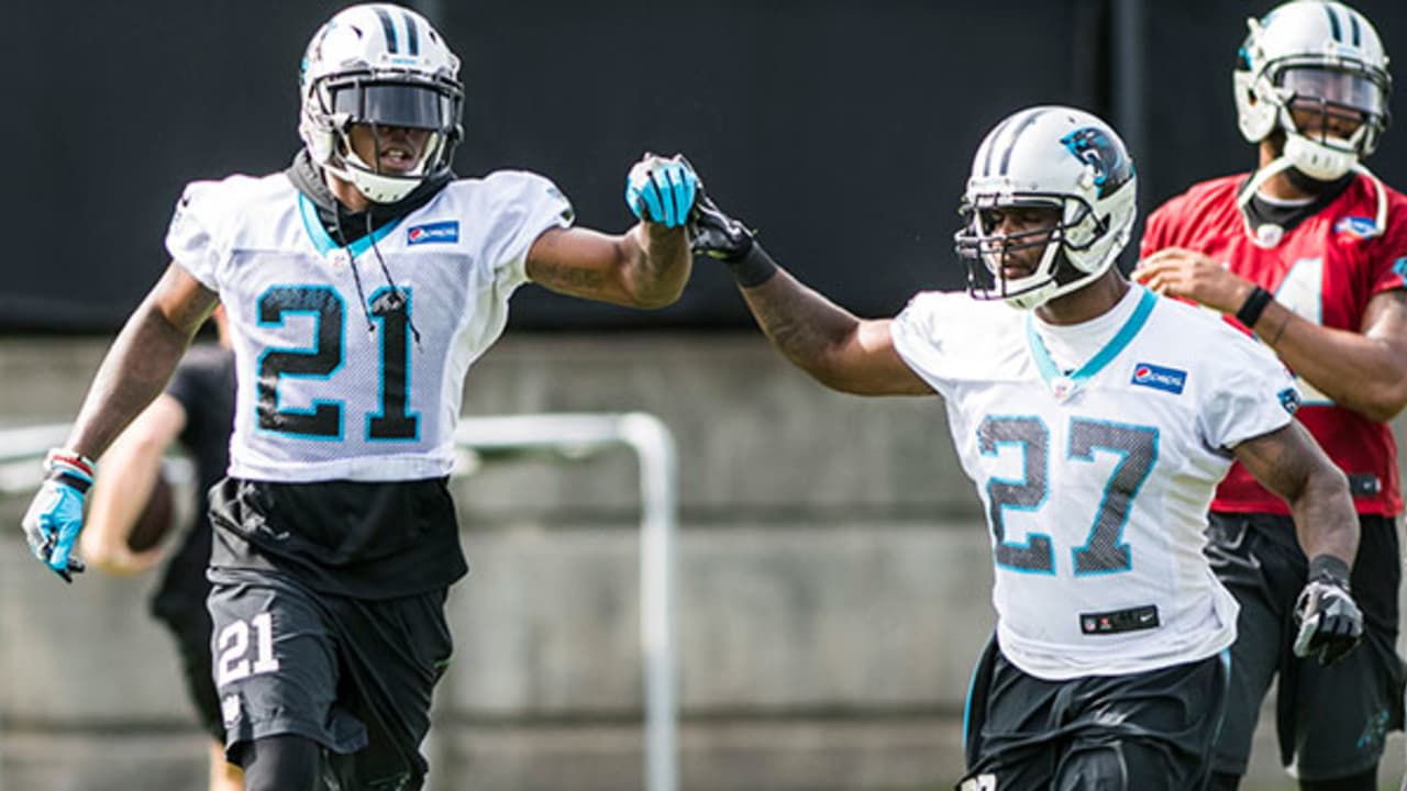 Panthers OTA Observations: Day 8