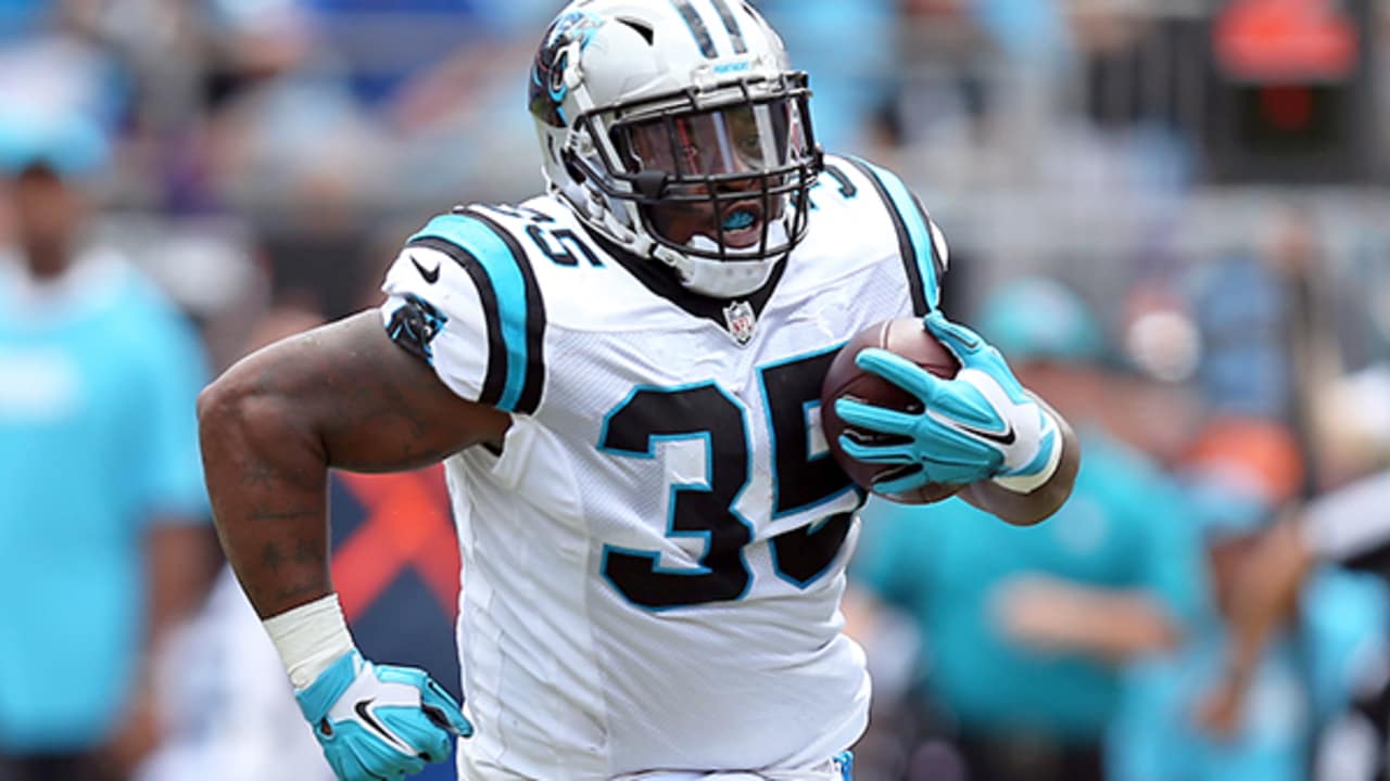 Panthers release Mike Tolbert