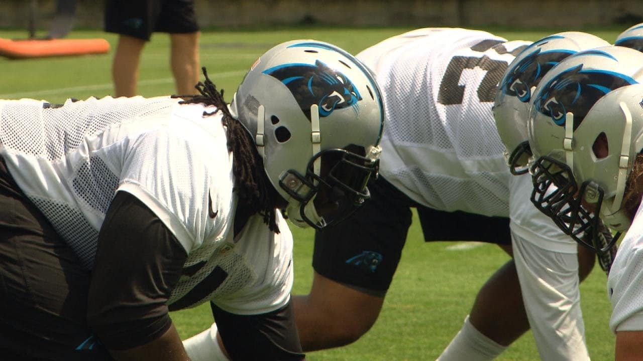 Panthers Insider: DT Colin Cole is rock steady