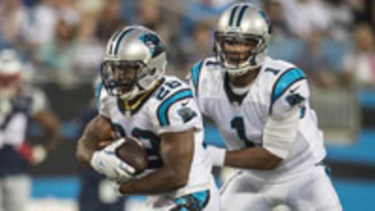 Panthers fantasy football preview