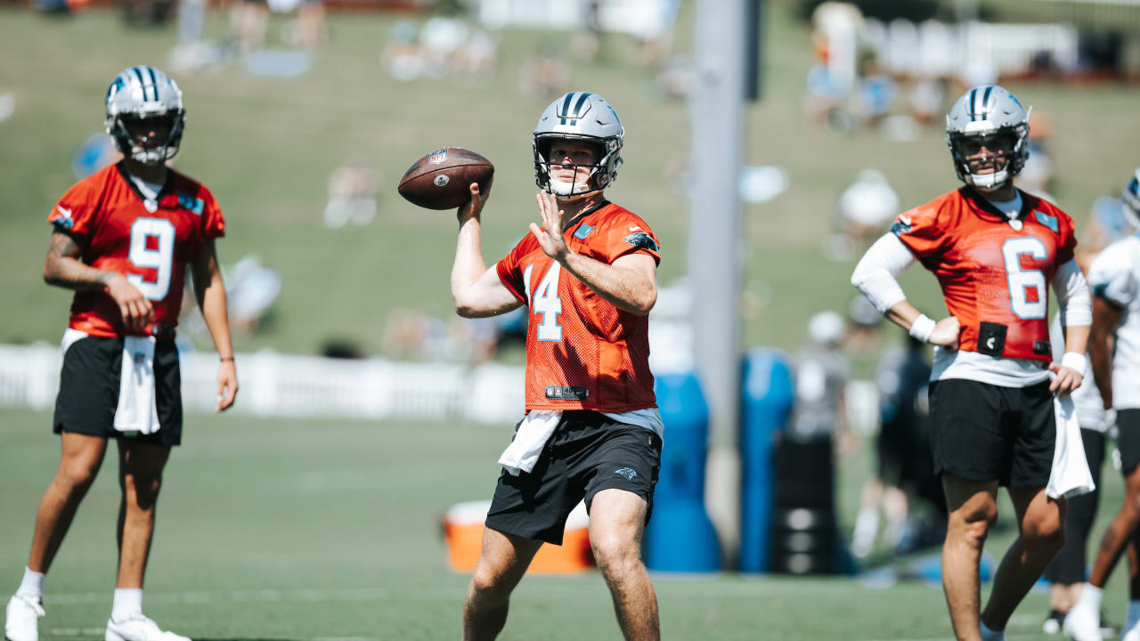 Best of the Panthers quarterbacks at training camp