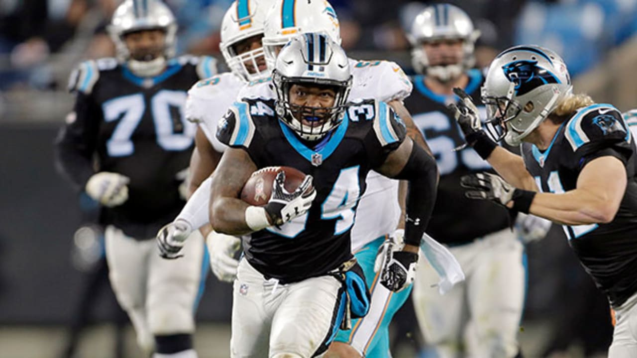 Snap Counts: Panthers vs. Dolphins