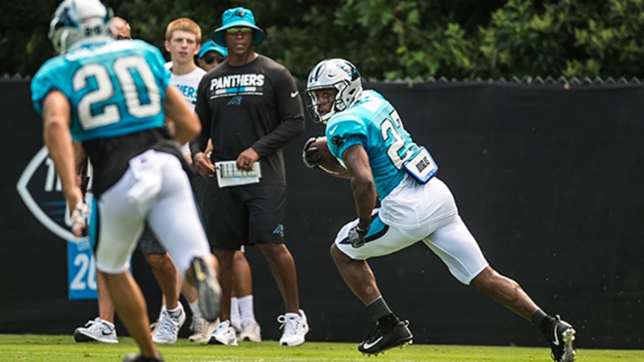 Panthers Training Camp Observations: Day 4