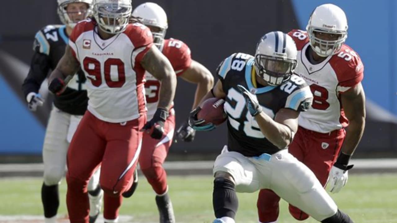 Panthers 19, Cardinals 12