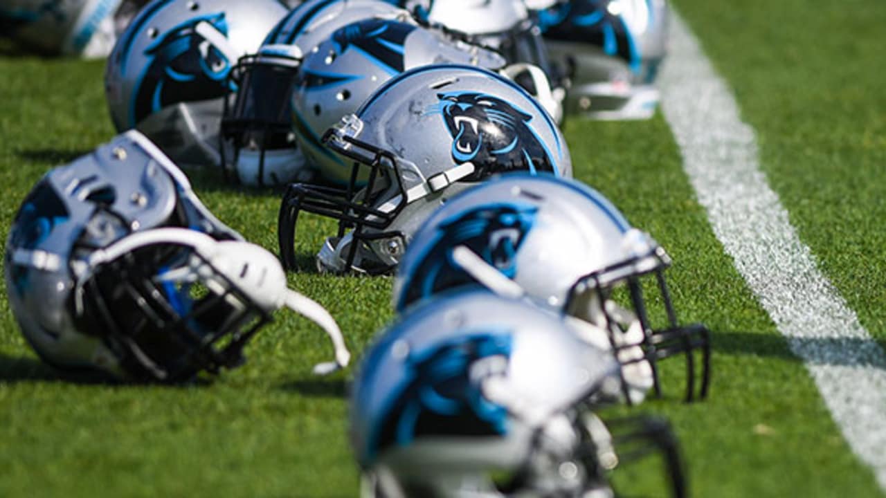 Panthers add two scouts